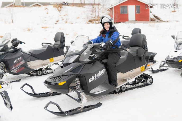 Snowmobile - LOFT GIRL